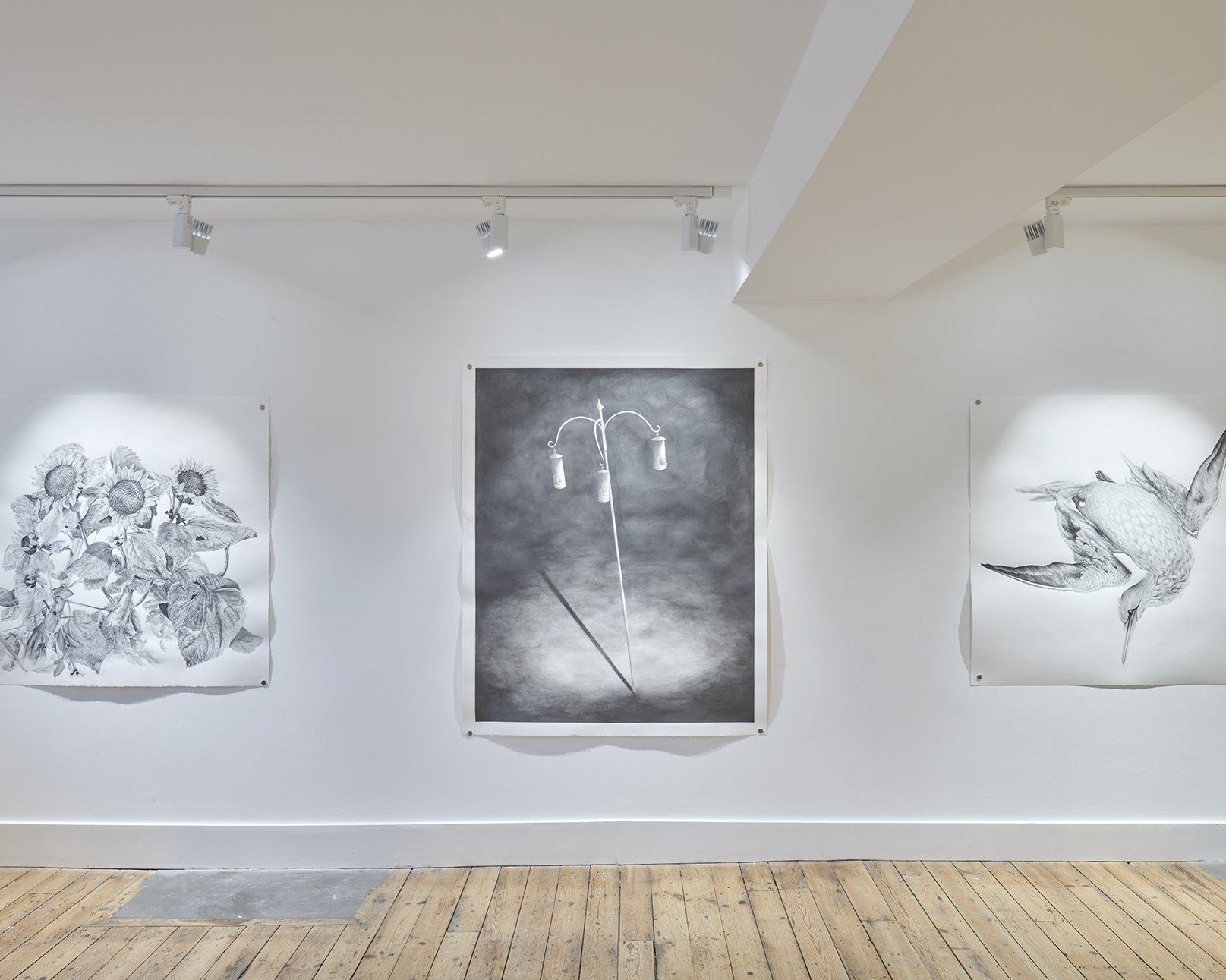 What’s On - Broadway Gallery, Letchworth
