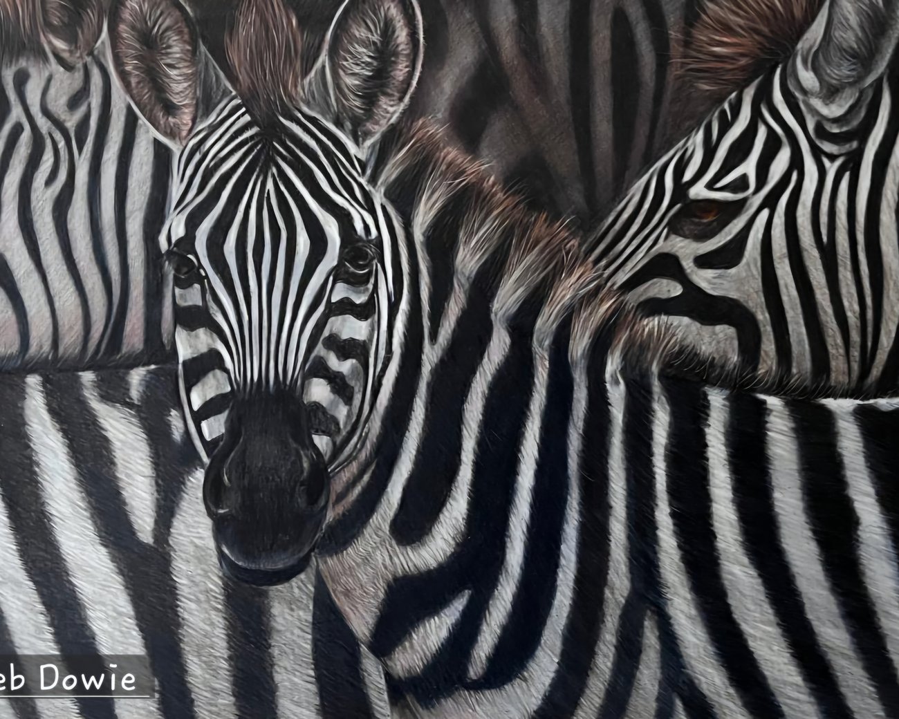 News - Broadway Gallery, Letchworth